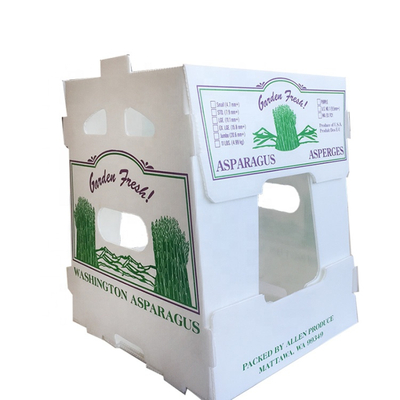 Corrugated Polypropylene Asparagus Box, Search Polypropylene Asparagus ...