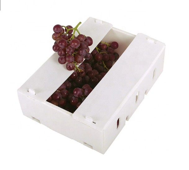 Polypropylene Corrugated Plastic Fruit Packing Box, Search Fruit Packing Box, Plastic Fruit Box ...