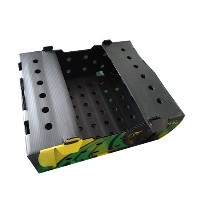 Polypropylene Coroplast Okra Packing Box, Search Okra Box, Okra Packing ...