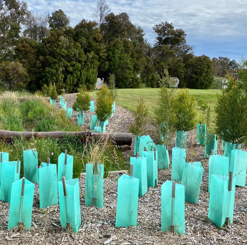 Corrugated Polypropylene Tree Shelters for Grow Tubes Protection - Buy ...