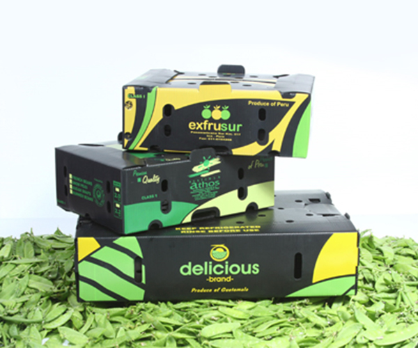 Agriculture Packing - Polypropylene Corrugated Plastic Sheets and Boxes ...