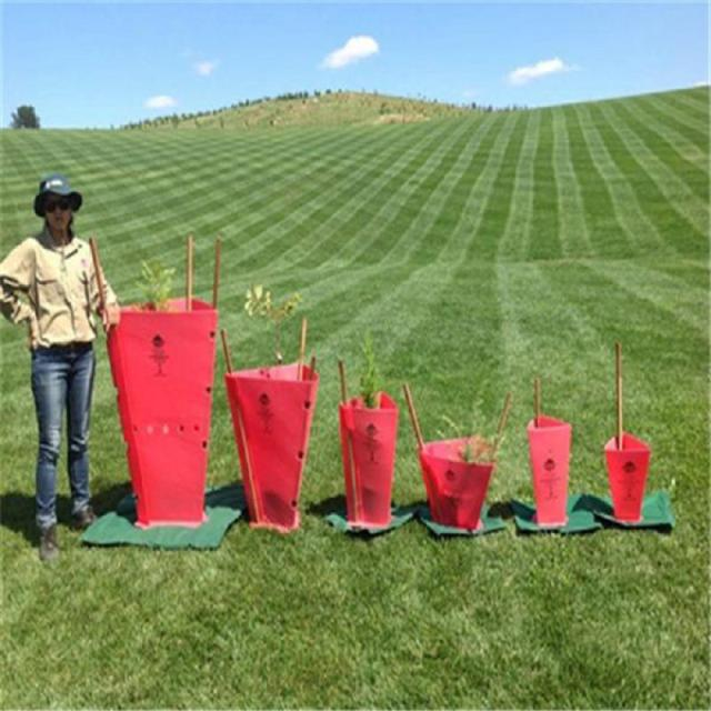 UV Resistance Corflute Tree Guards for Plant Protectors - Buy Corflute ...
